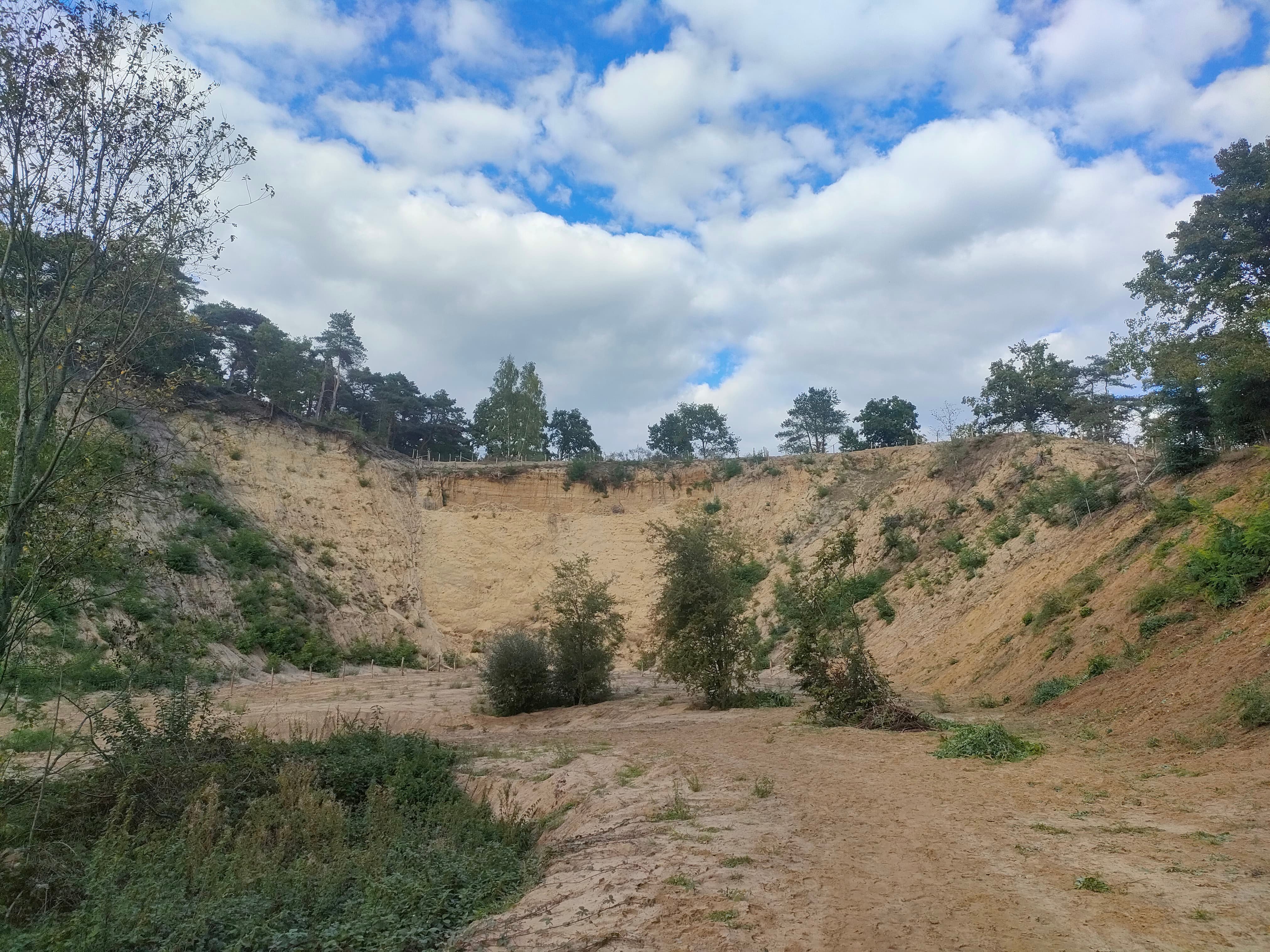 Plantation d'une haie champêtre à la Sablière de Nethen | Natagora